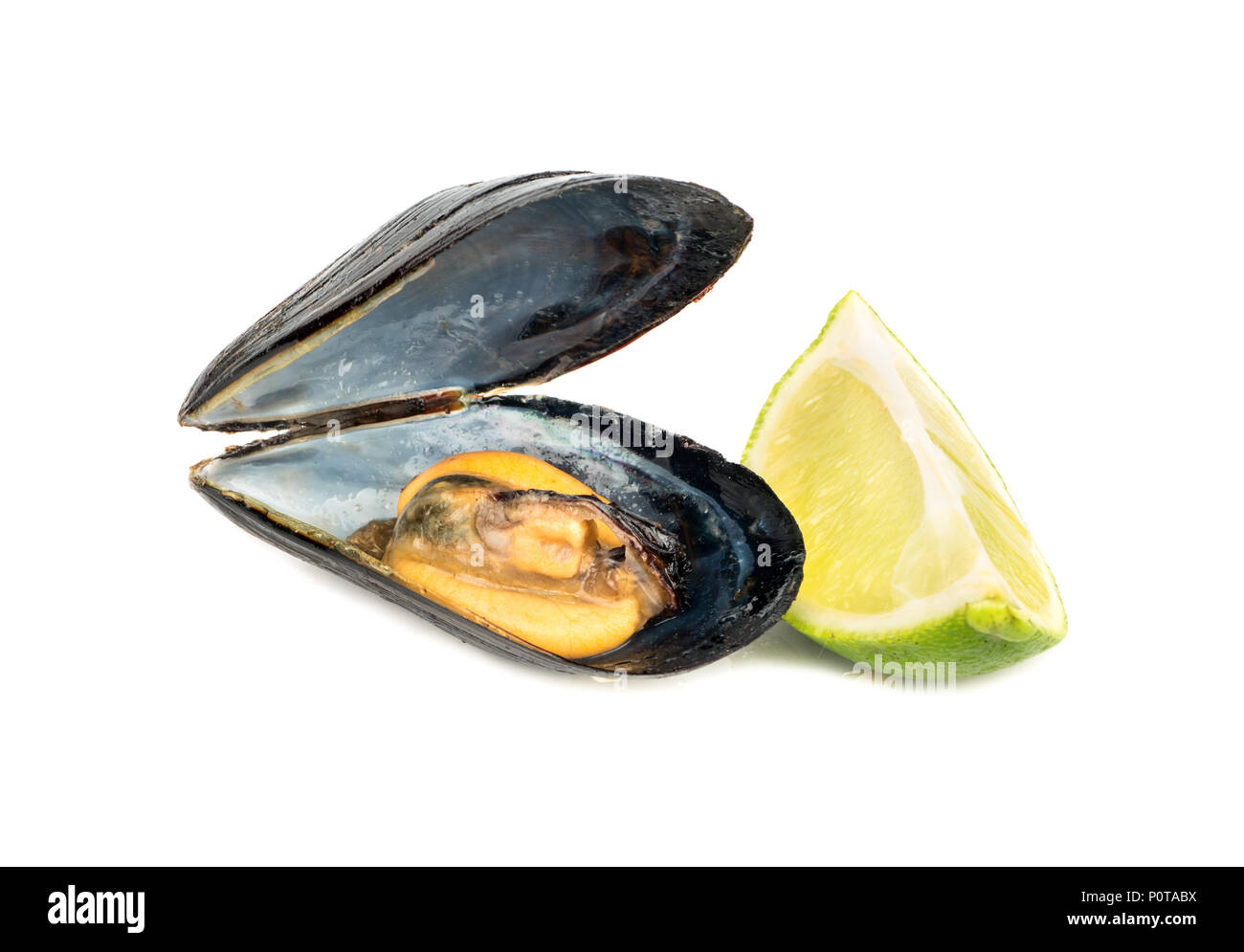 Open mussels cooked with a slice of lime on white background Stock ...