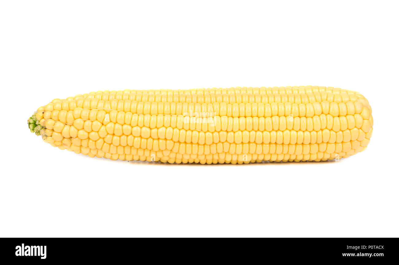 Raw corn cob isolated on white background Stock Photo - Alamy