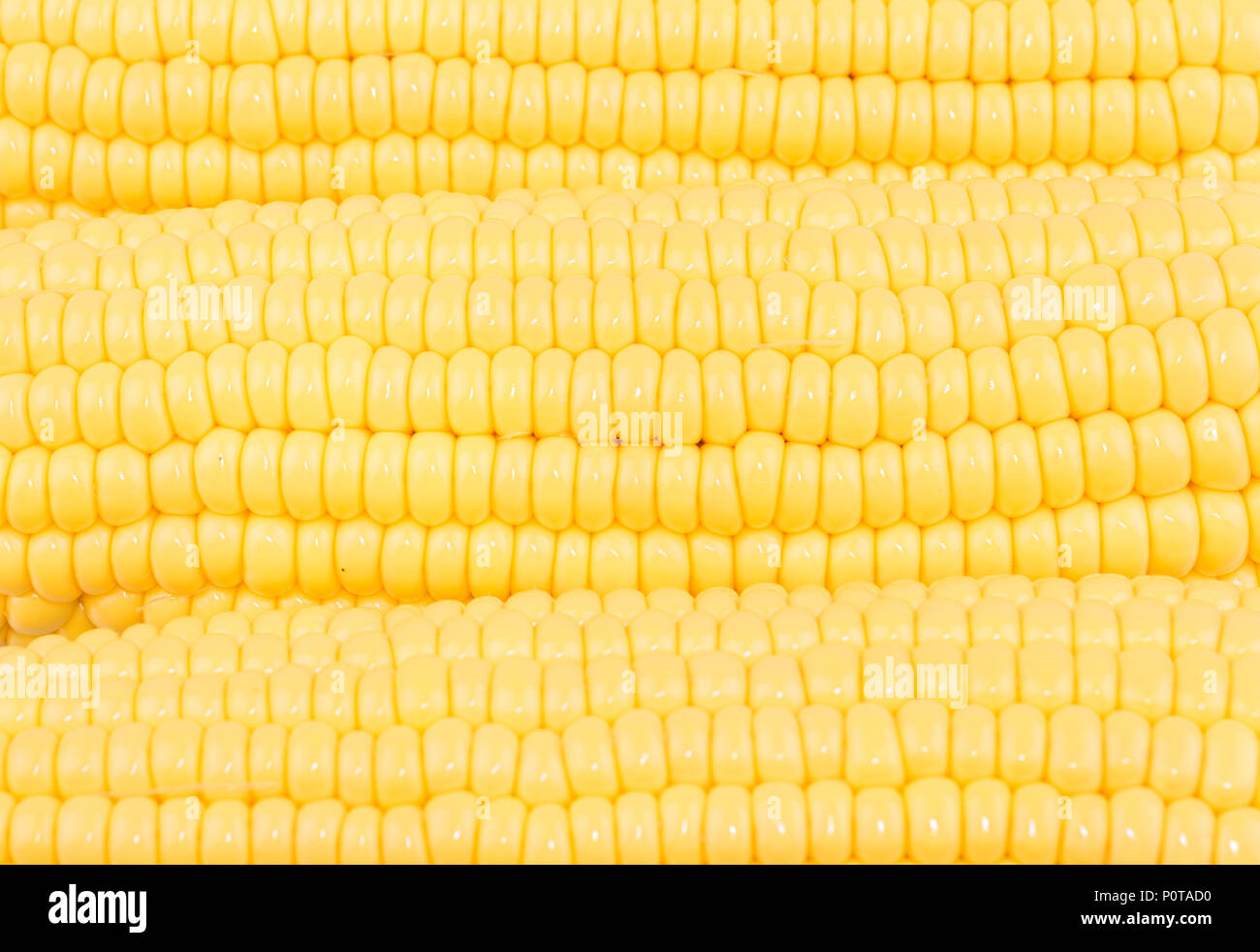 Three corn cobs hi-res stock photography and images - Alamy