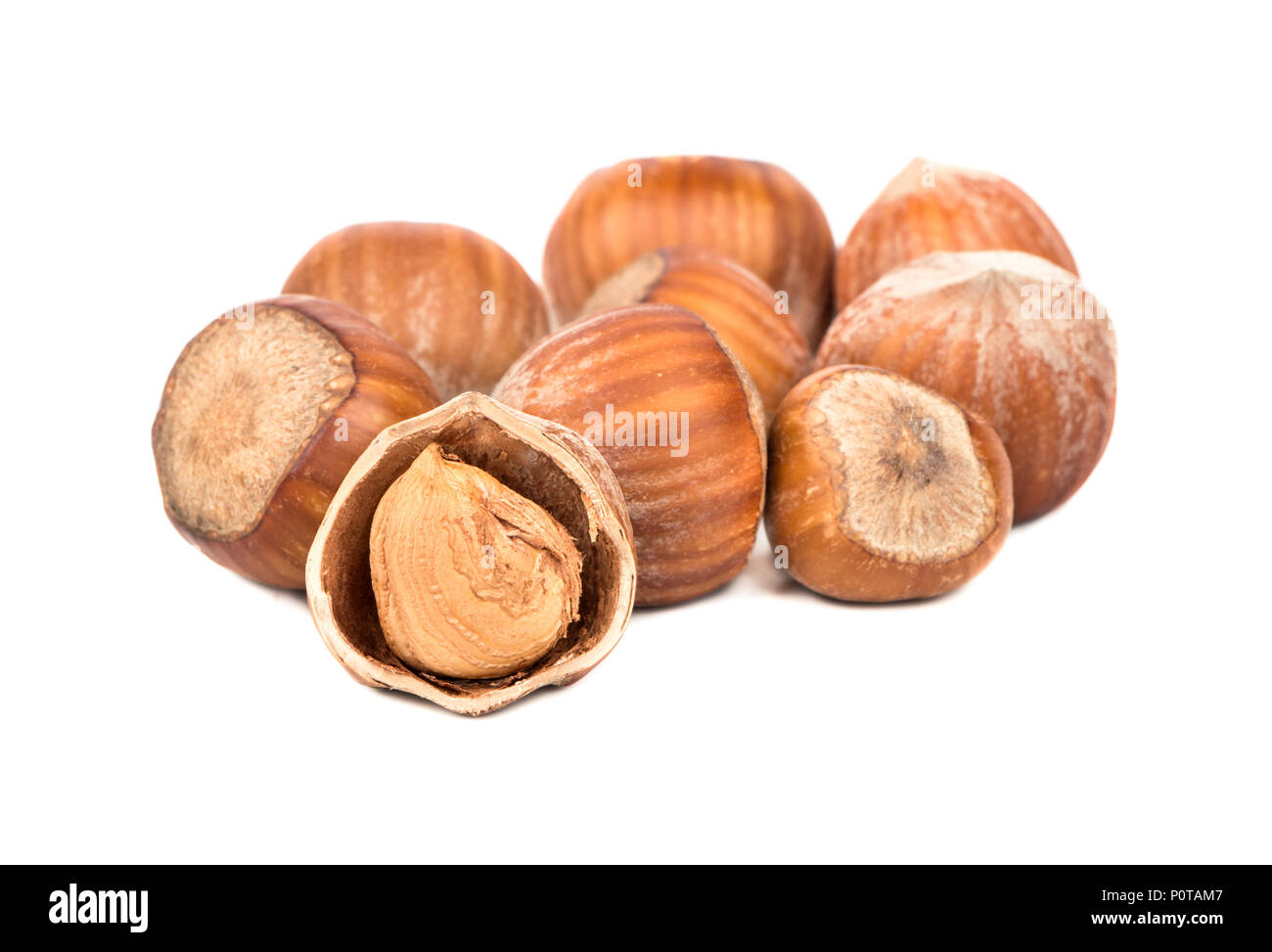 Small pile of hazelnuts in the shell on a white background Stock Photo ...