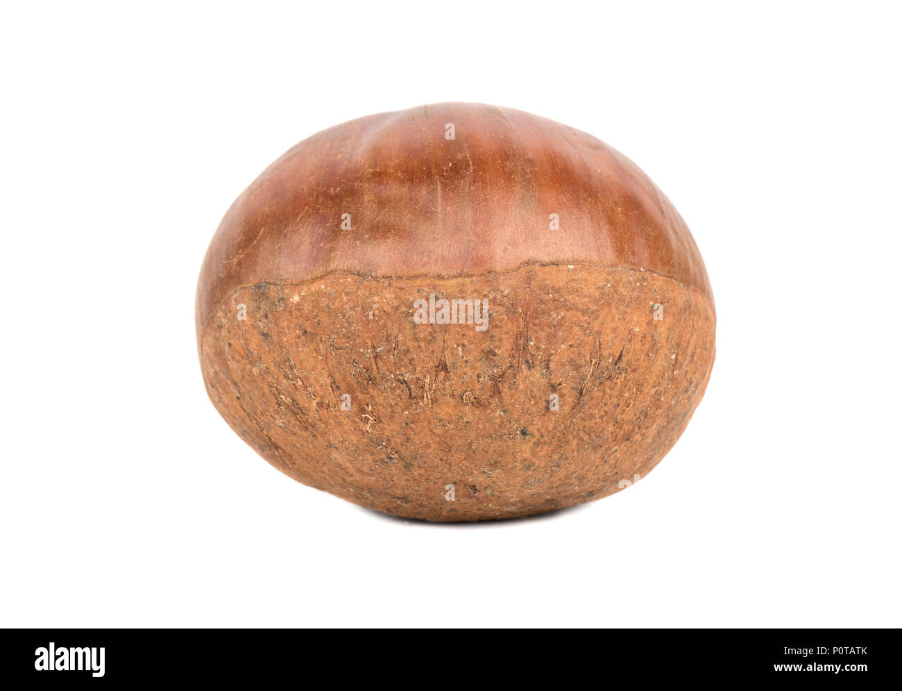 Edible raw chestnut isolated on white background Stock Photo - Alamy
