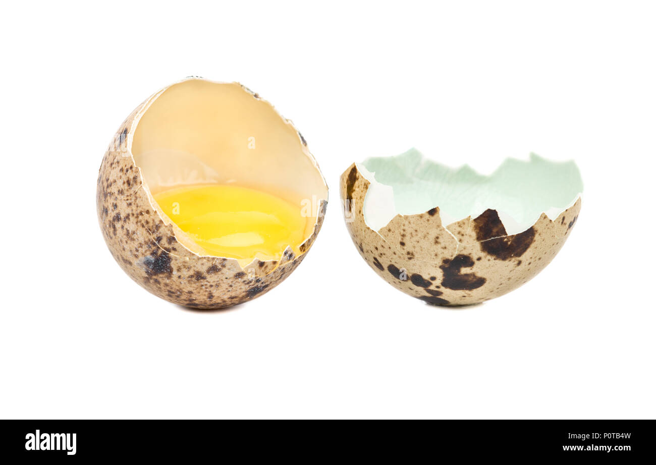 Raw broken quail egg isolated on white background Stock Photo - Alamy