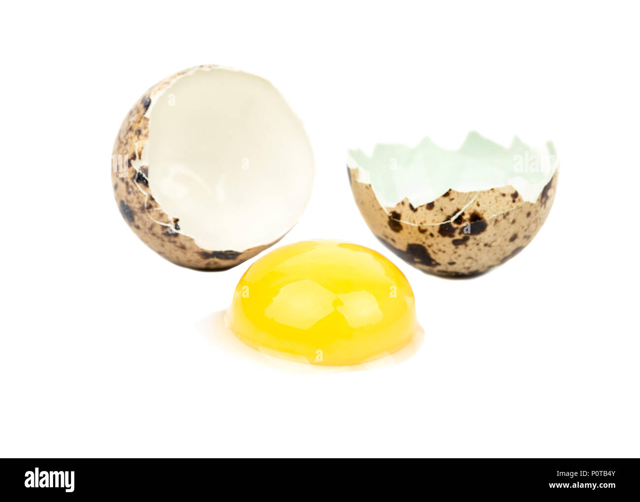 Broken raw quail egg on white background Stock Photo - Alamy