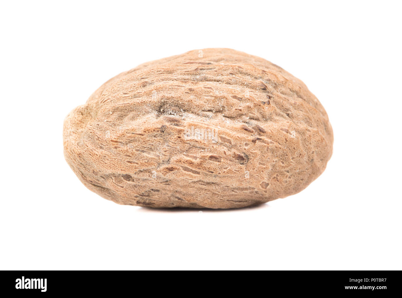 Dry nutmeg isolated on white background closeup Stock Photo - Alamy