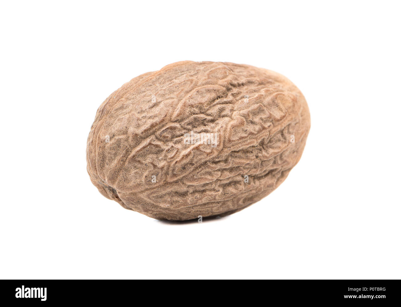 Dry nutmeg isolated on white background closeup Stock Photo - Alamy