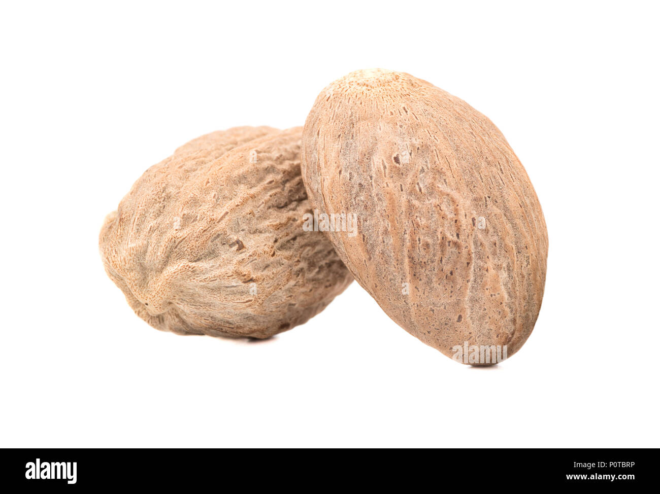 Two dry whole nutmeg isolated on white background Stock Photo - Alamy