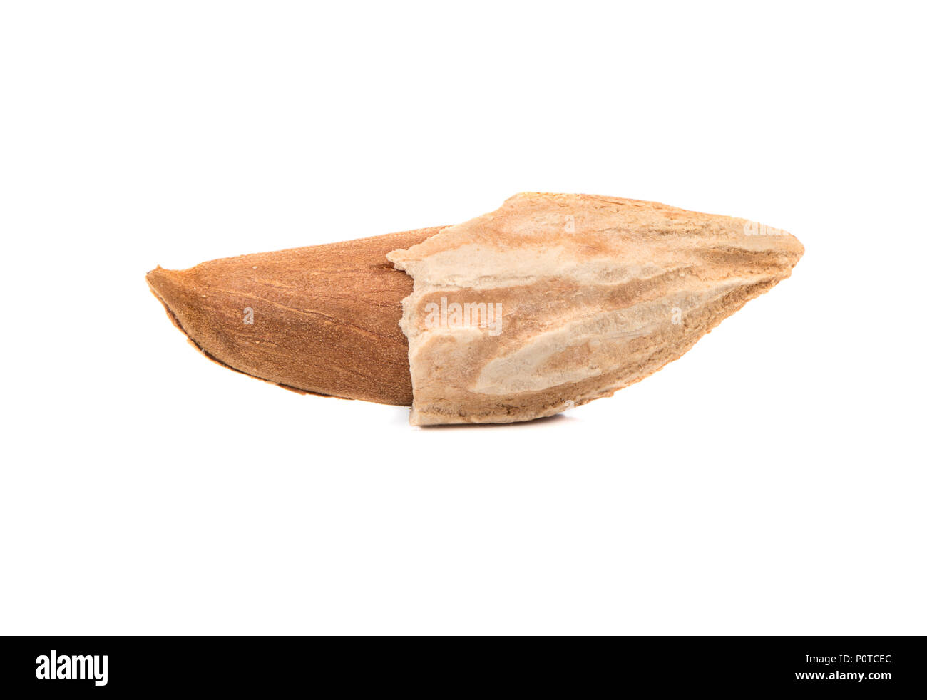 Uzbek broken almonds in shell on a white background Stock Photo - Alamy