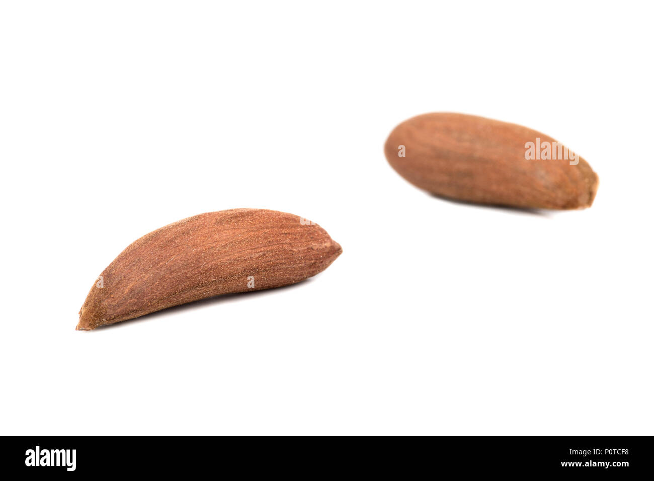 Two wild uzbek almonds without shell on white background Stock Photo ...