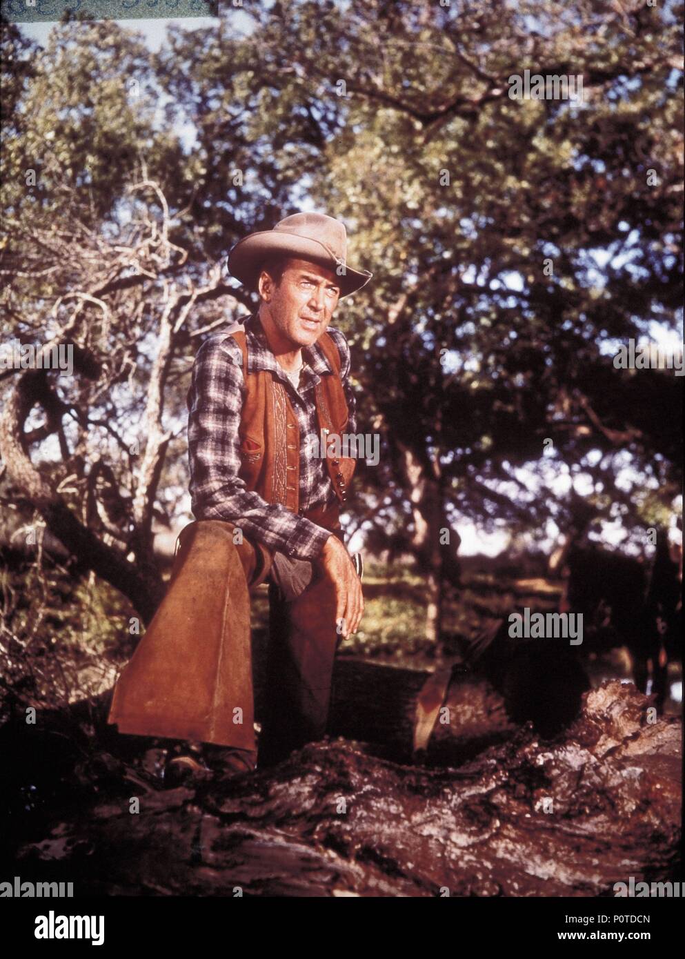 Original Film Title: TWO RODE TOGETHER. English Title: TWO RODE ...