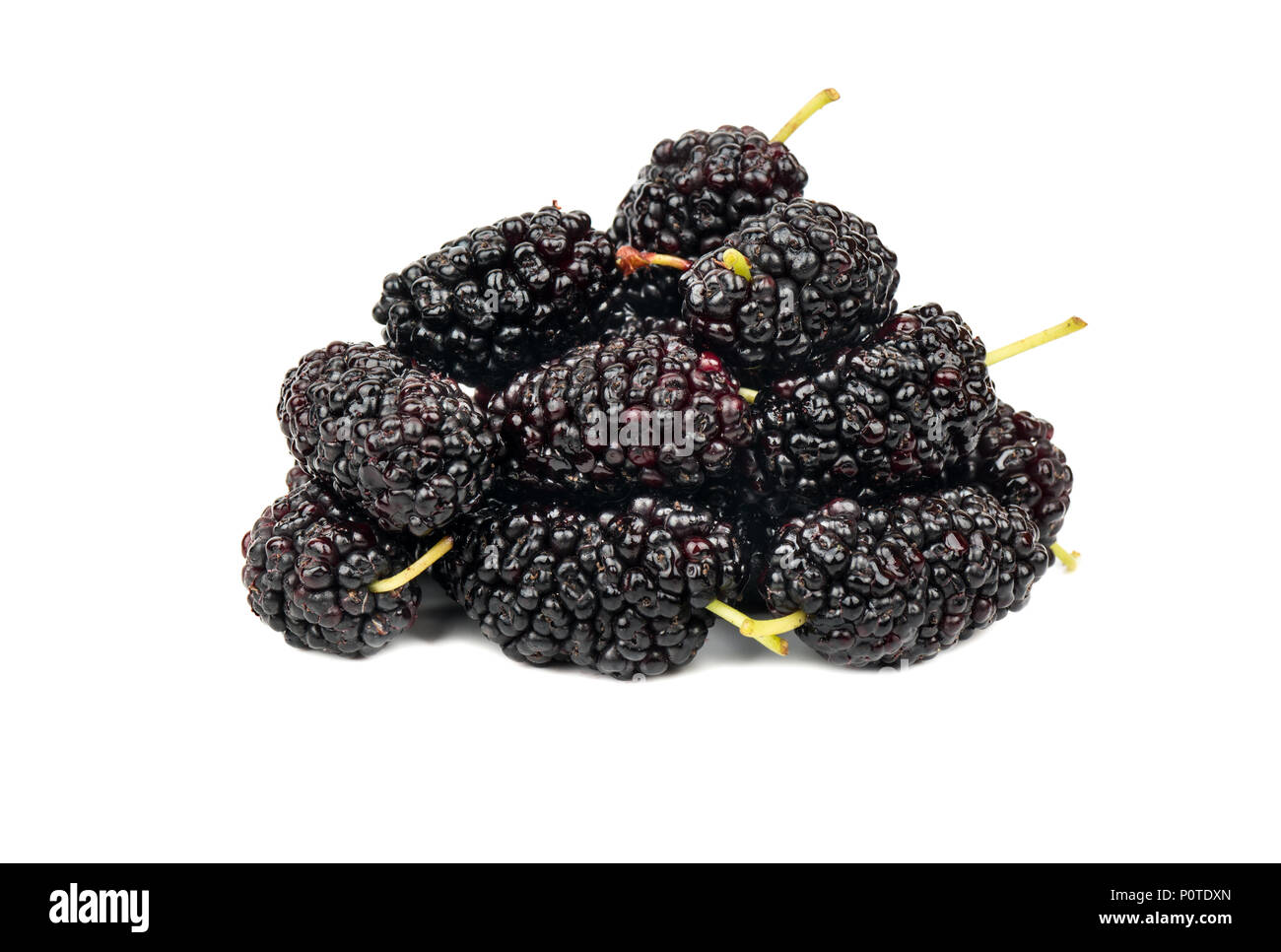 Bunch of black mulberry isolated on white background Stock Photo - Alamy