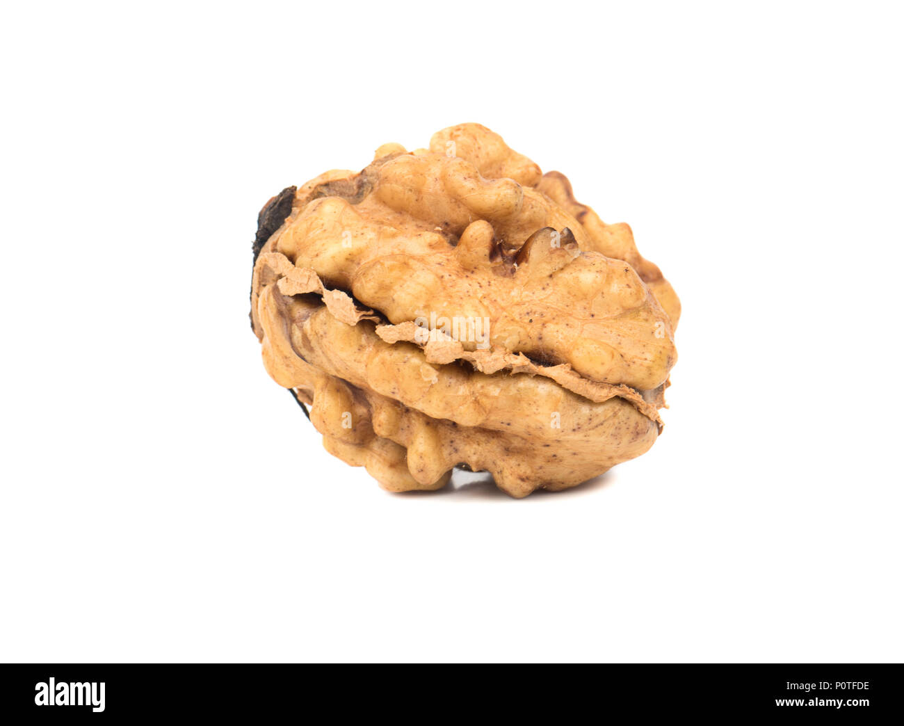 Fresh walnuts without the shell on white background Stock Photo - Alamy