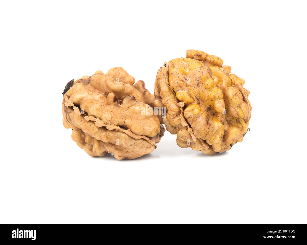 Two fresh walnuts without the shell on white background Stock Photo - Alamy