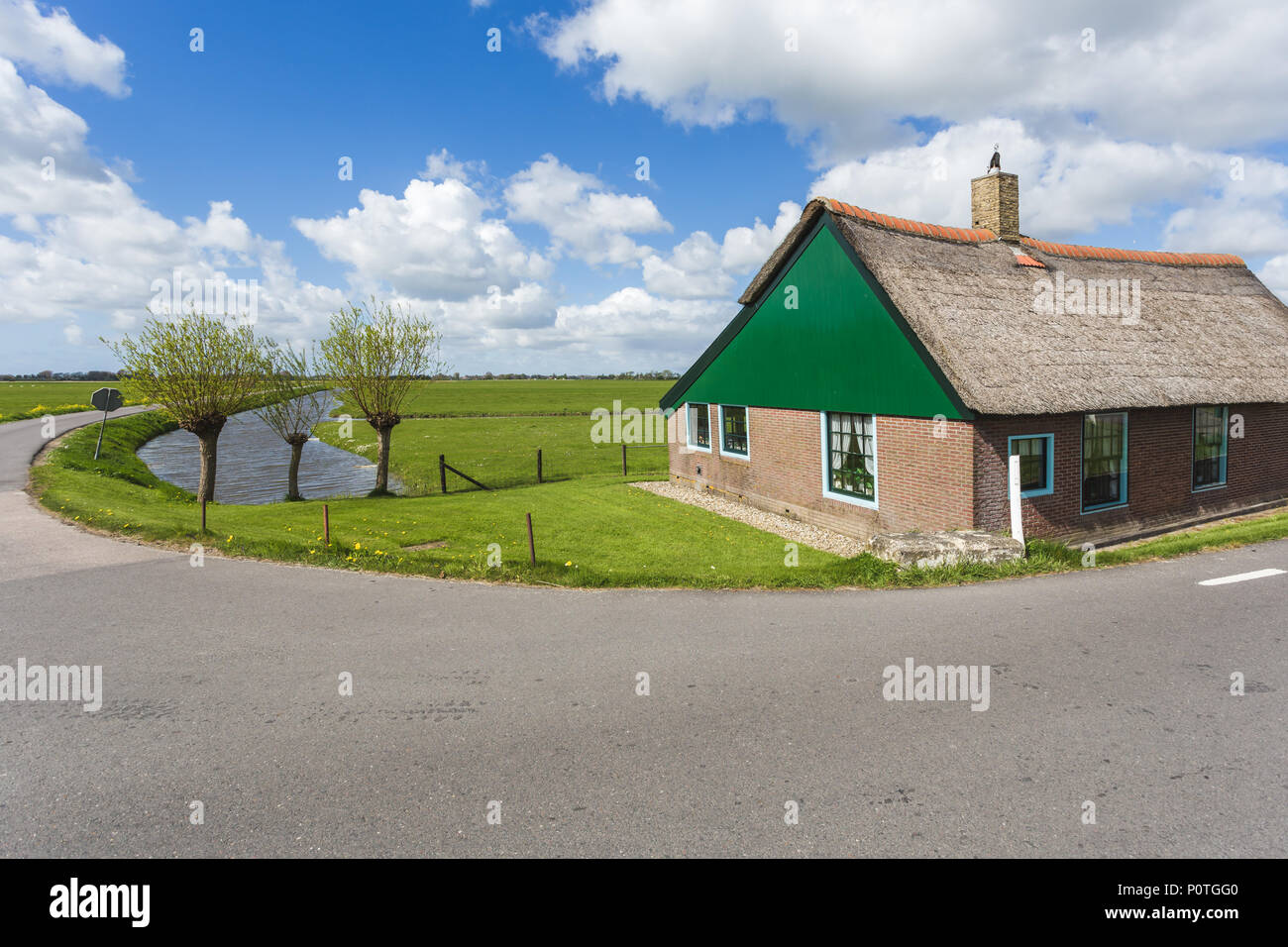 Dutch farmland with farm,trees and canals, Alkmaar, The Netherlands ...