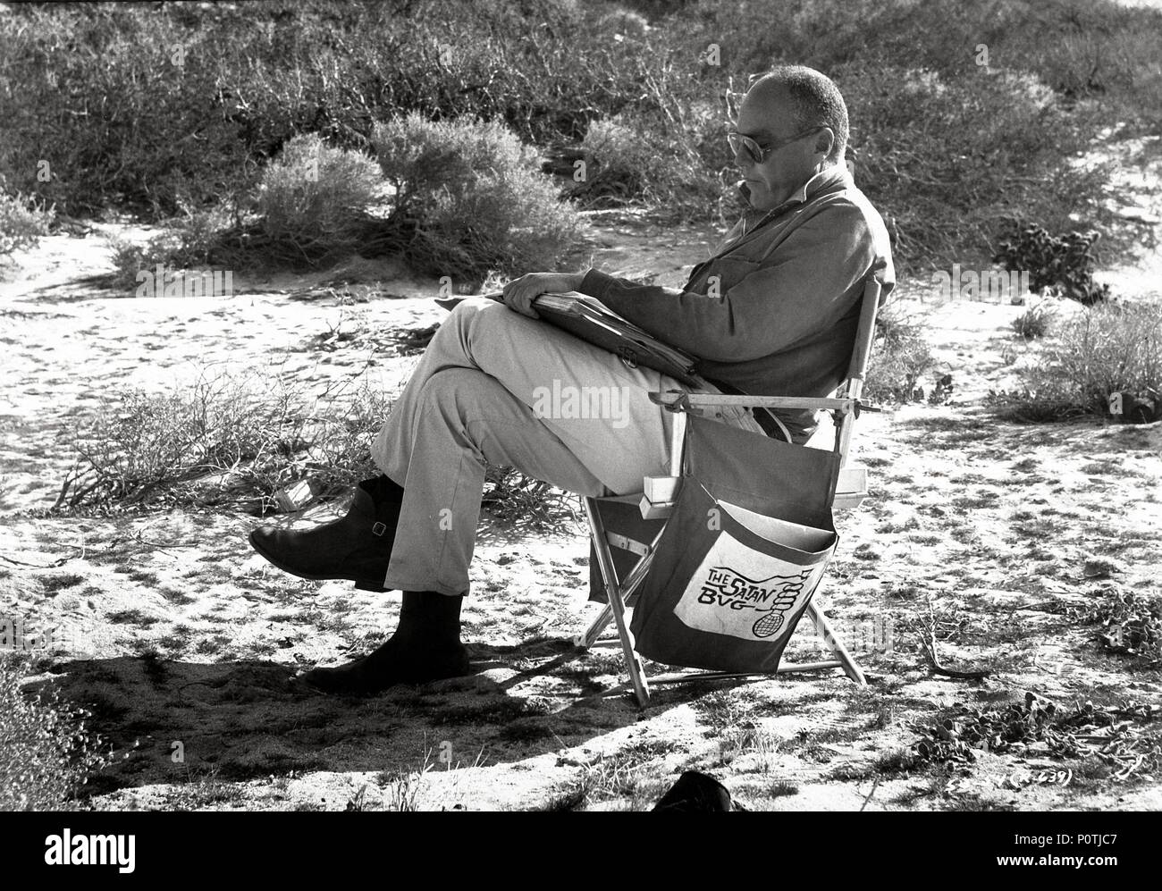 Original Film Title: THE SATAN BUG. English Title: THE SATAN BUG. Film ...