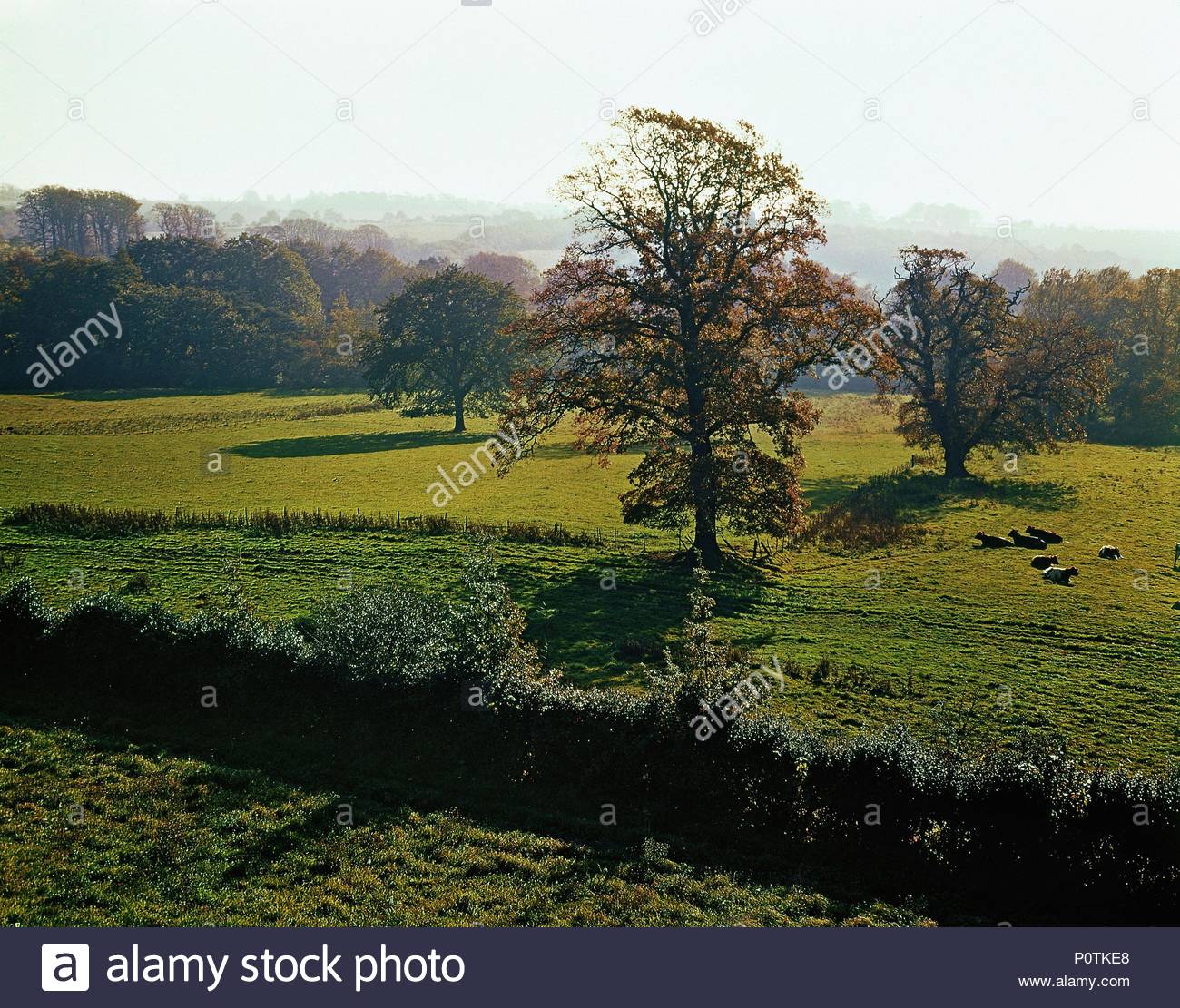 Senlac Stock Photos & Senlac Stock Images - Alamy