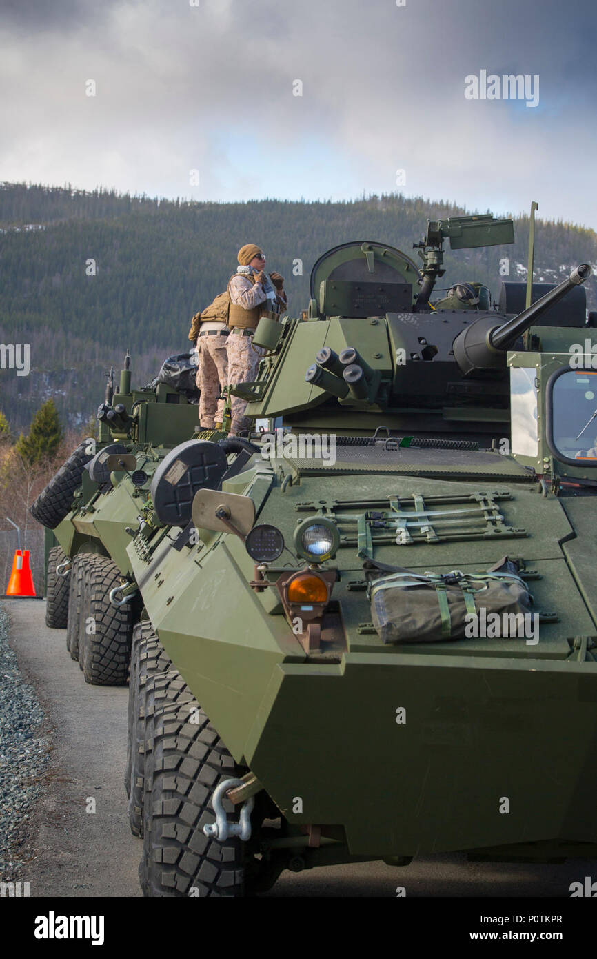 U.S. Marines with 4th Light Armored Reconnaissance Battalion prepare ...