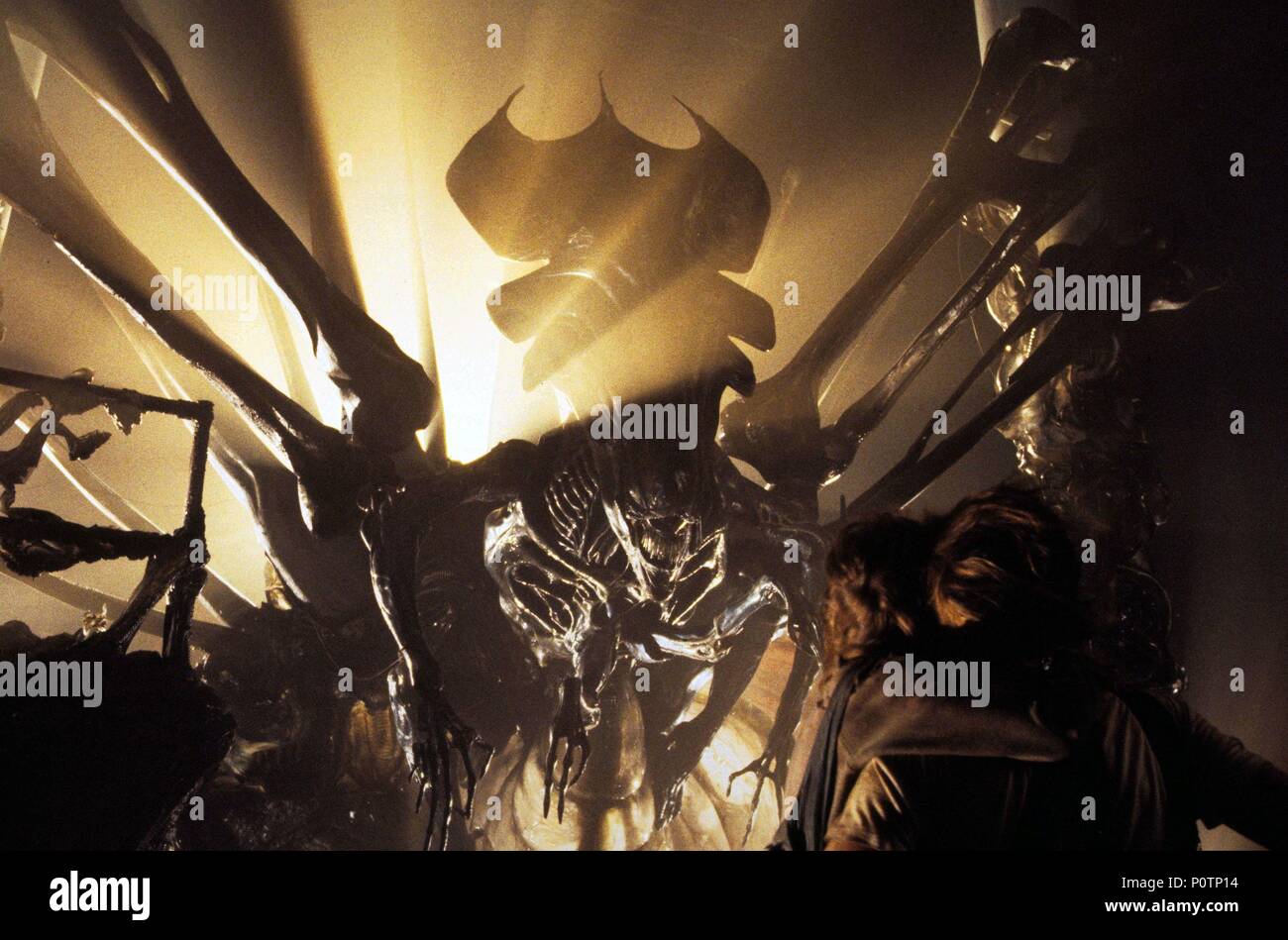 Original Film Title: ALIENS. English Title: ALIENS. Film Director ...