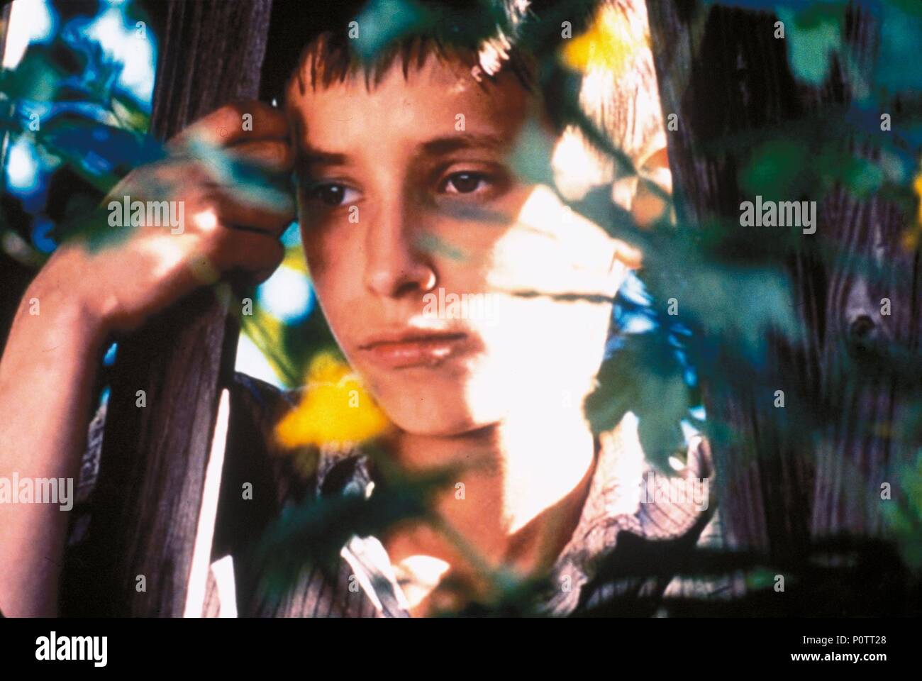 Zelary hi-res stock photography and images - Alamy