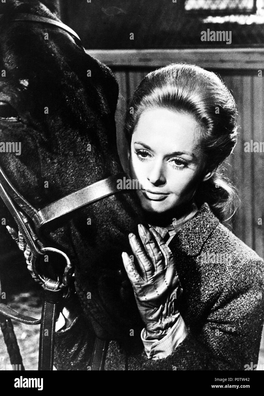 Original Film Title: MARNIE. English Title: MARNIE. Film Director ...