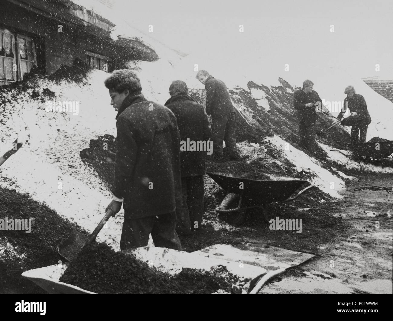 Original Film Title: ANN. English Title: ANN. Film Director: ALAN ...