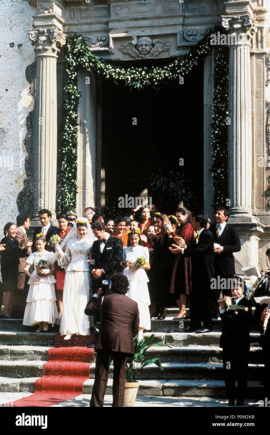 Sonny Corleone Wedding