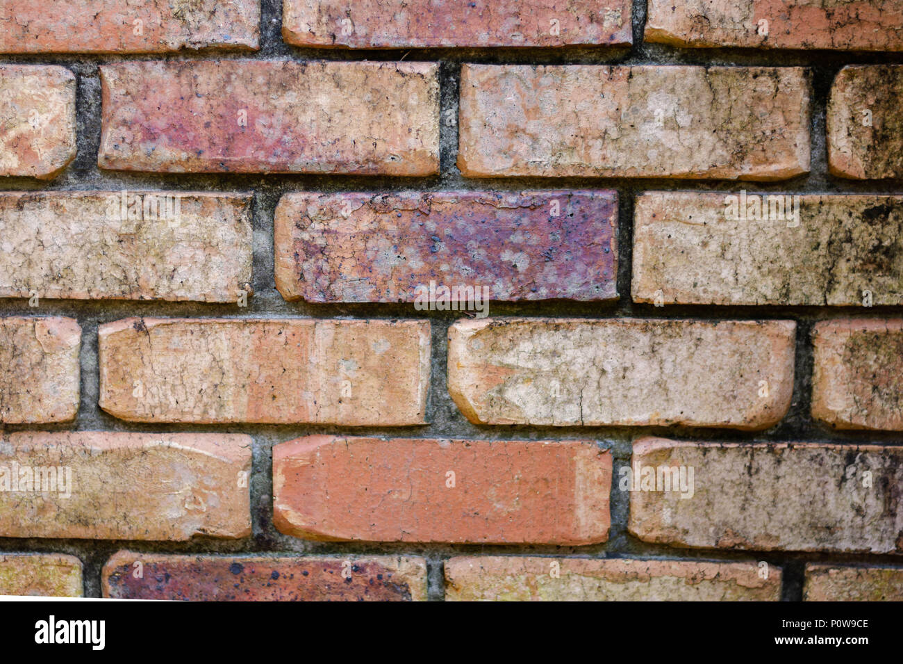 Red orange grout hi-res stock photography and images - Alamy