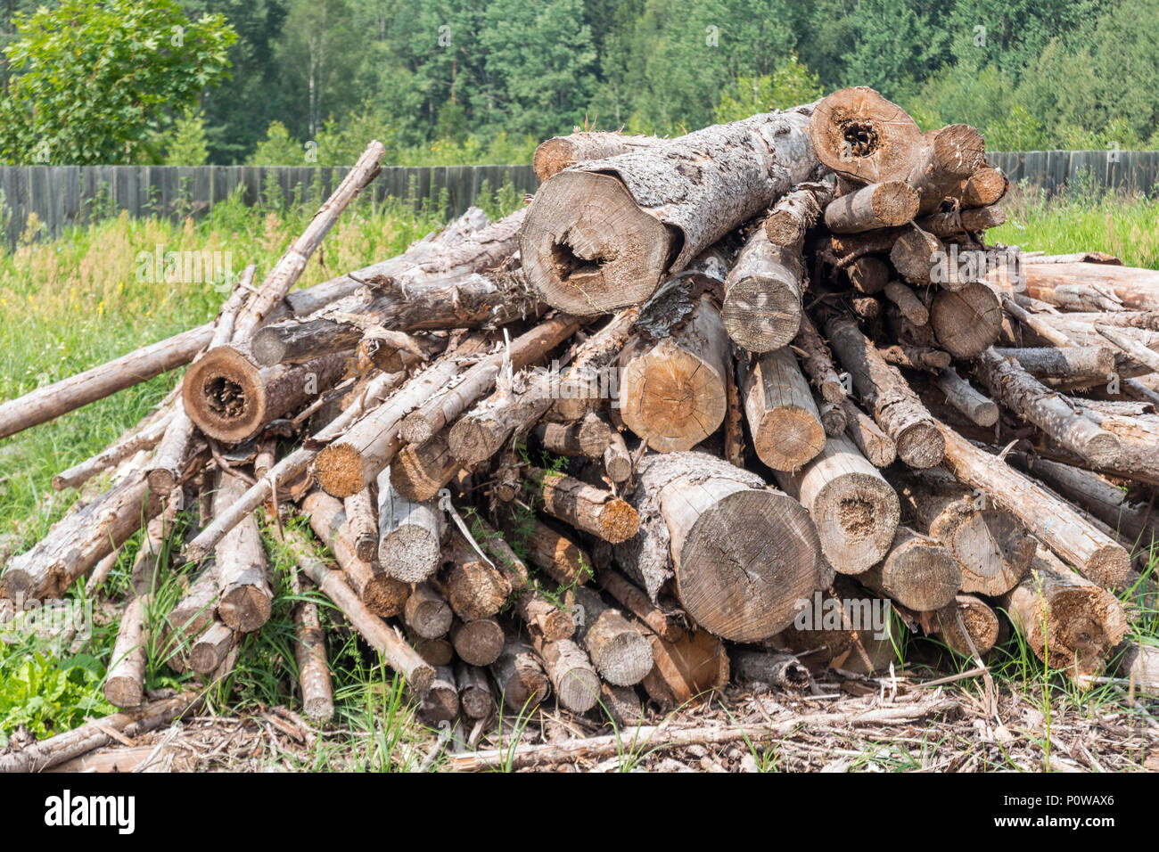 big heap of different tree logs in forest area Stock Photo - Alamy