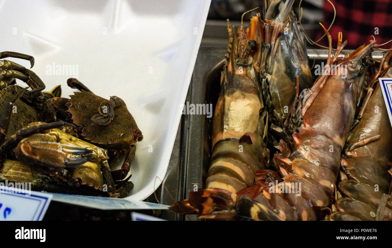 Fresh fish at the fish market, fish on display many types of fish Stock ...