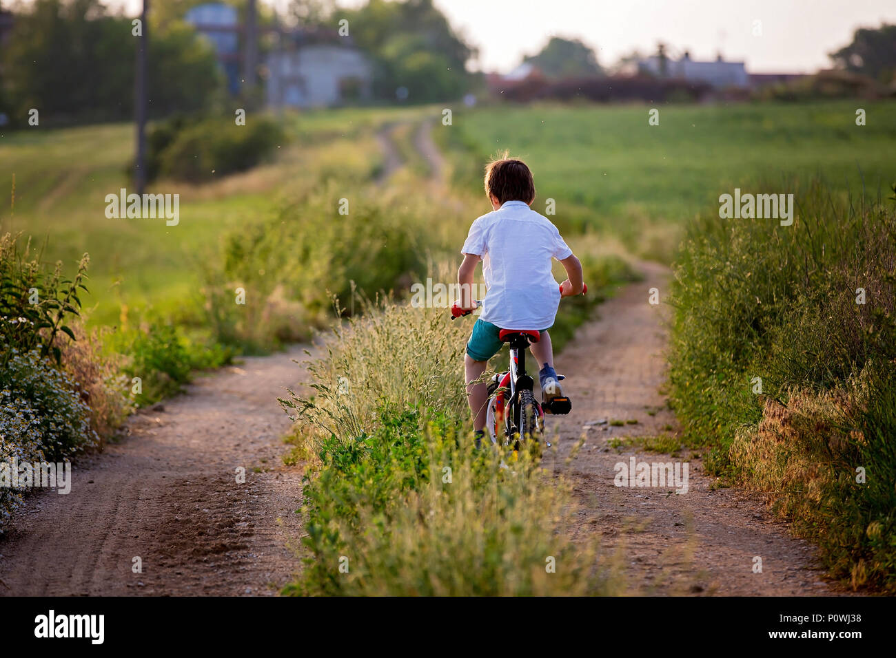 Sporty children, boy brothers, riding bikes on a rural landscape ...