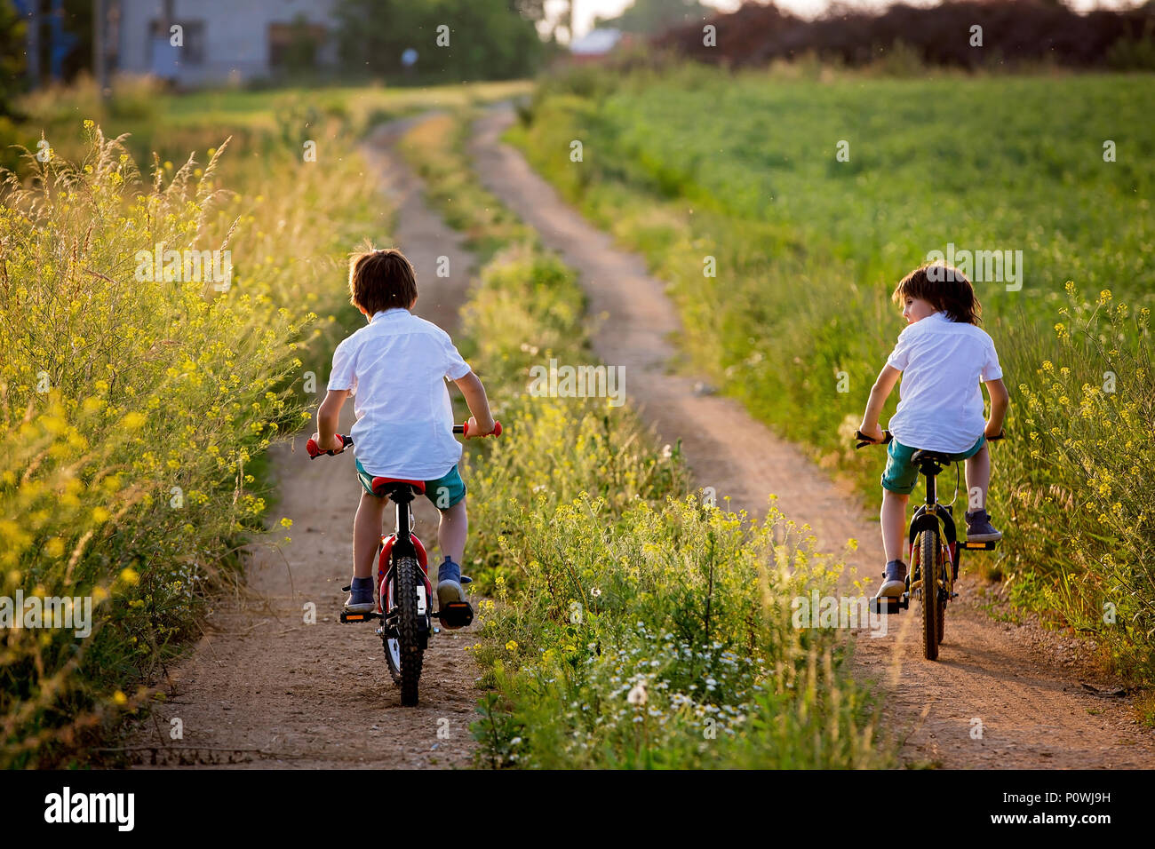 Sporty children, boy brothers, riding bikes on a rural landscape ...