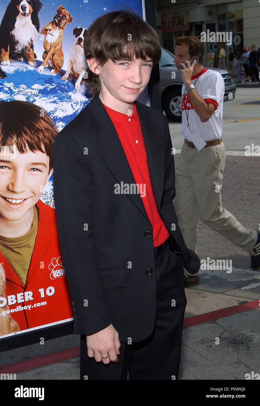 Liam Aiken arriving at the " Good Boy Premiere " at Mann Village ...
