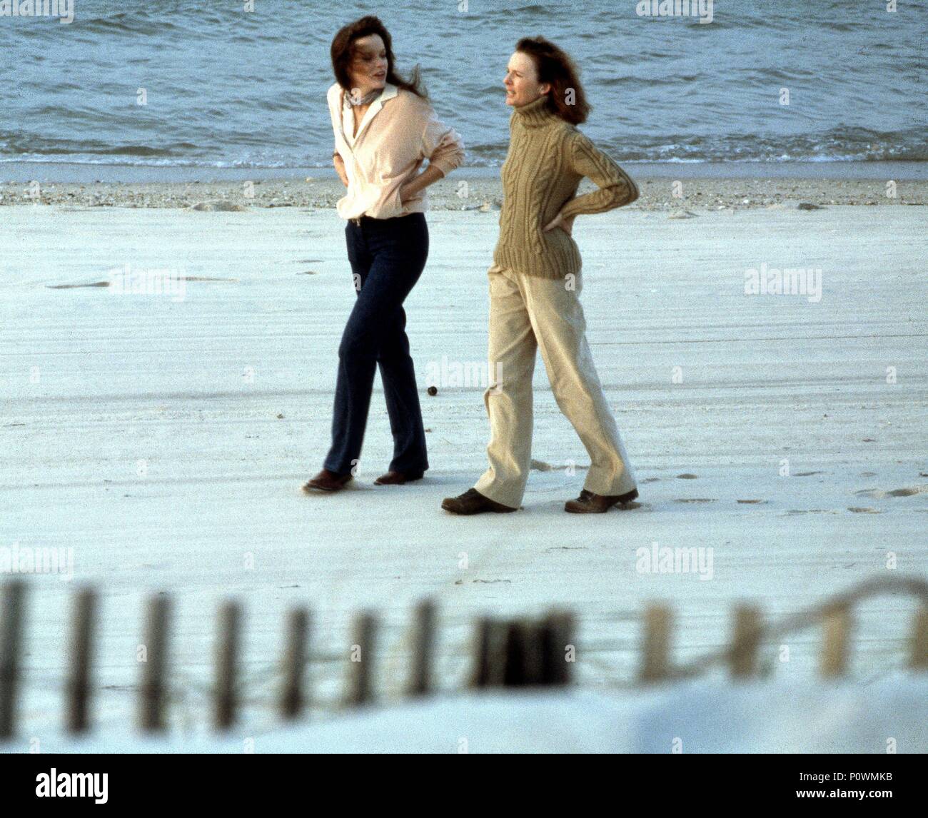 Original Film Title: INTERIORS. English Title: INTERIORS. Film Director ...