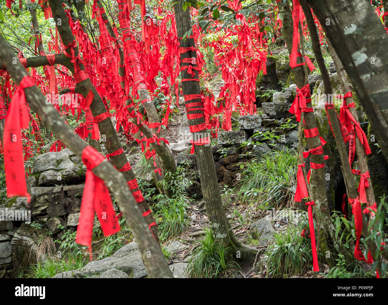 Red ribbon with written wishes hangging on the trees at Tianmen ...