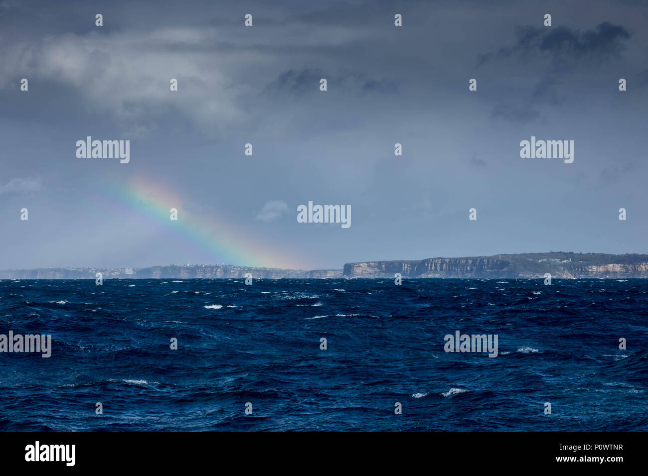 Whale sydney harbour hi-res stock photography and images - Alamy