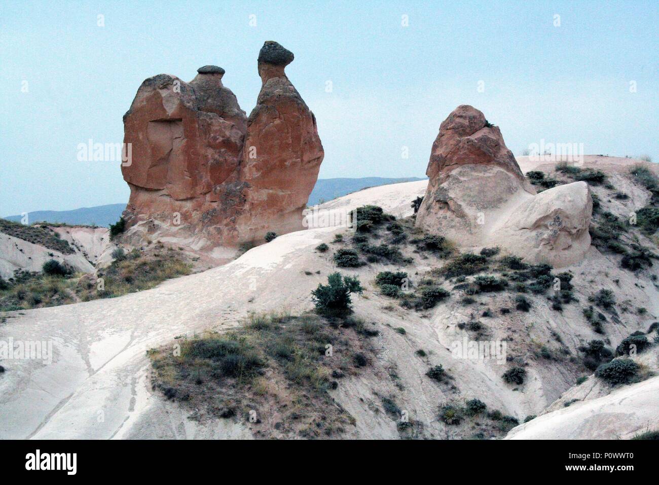 Camel shape hi-res stock photography and images - Alamy