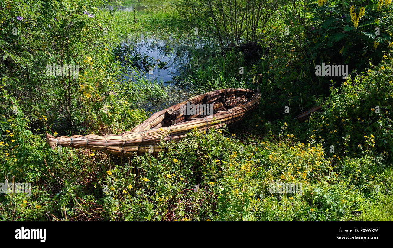 Traditional weed boat at the shore of Tana lake, Bahir Dar, Ethiopia ...
