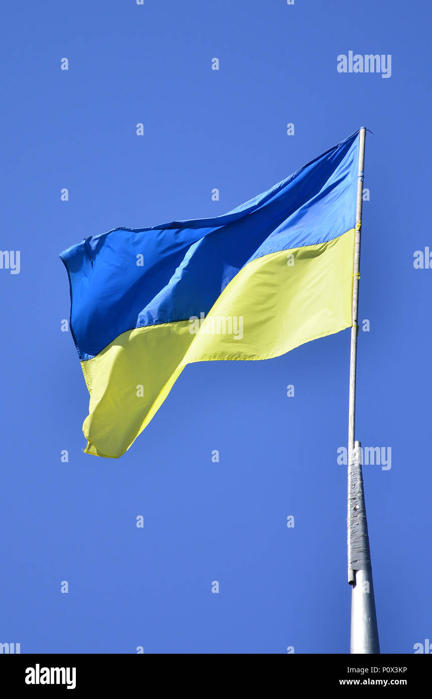 Ukrainian flag against the blue cloudless sky. The official flag of the ...