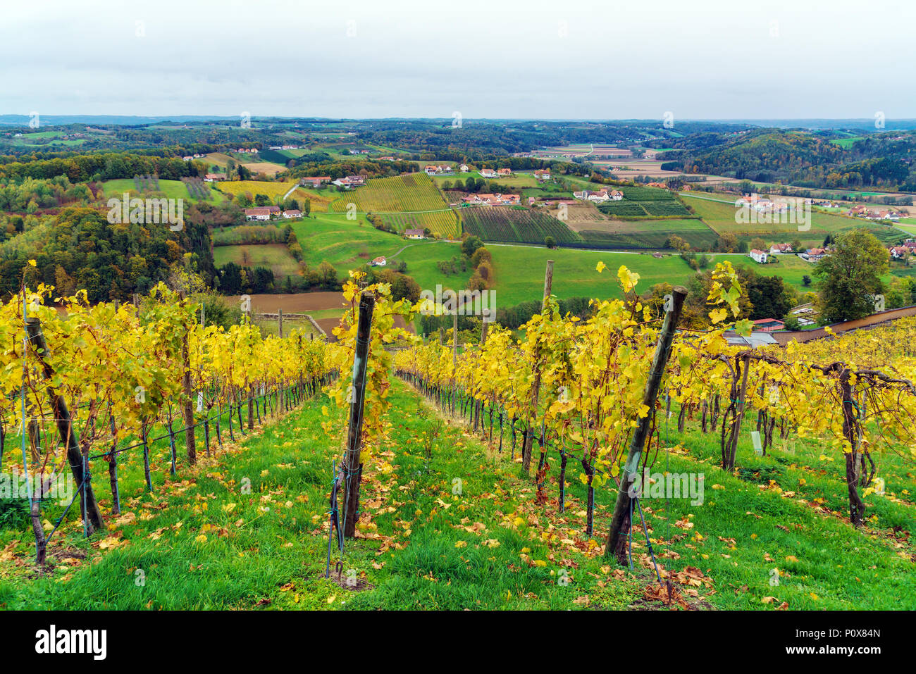 Vineyards surrounding medieval castle Riegersburg, Styria, Austria ...