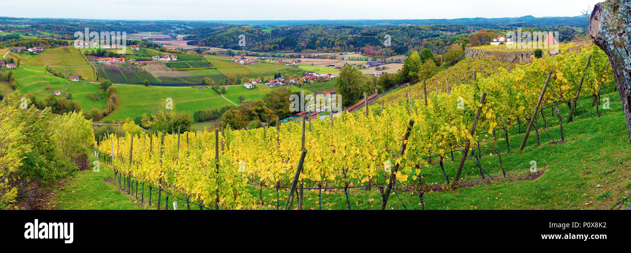 Wide panorama of Vineyards surrounding medieval castle Riegersburg ...