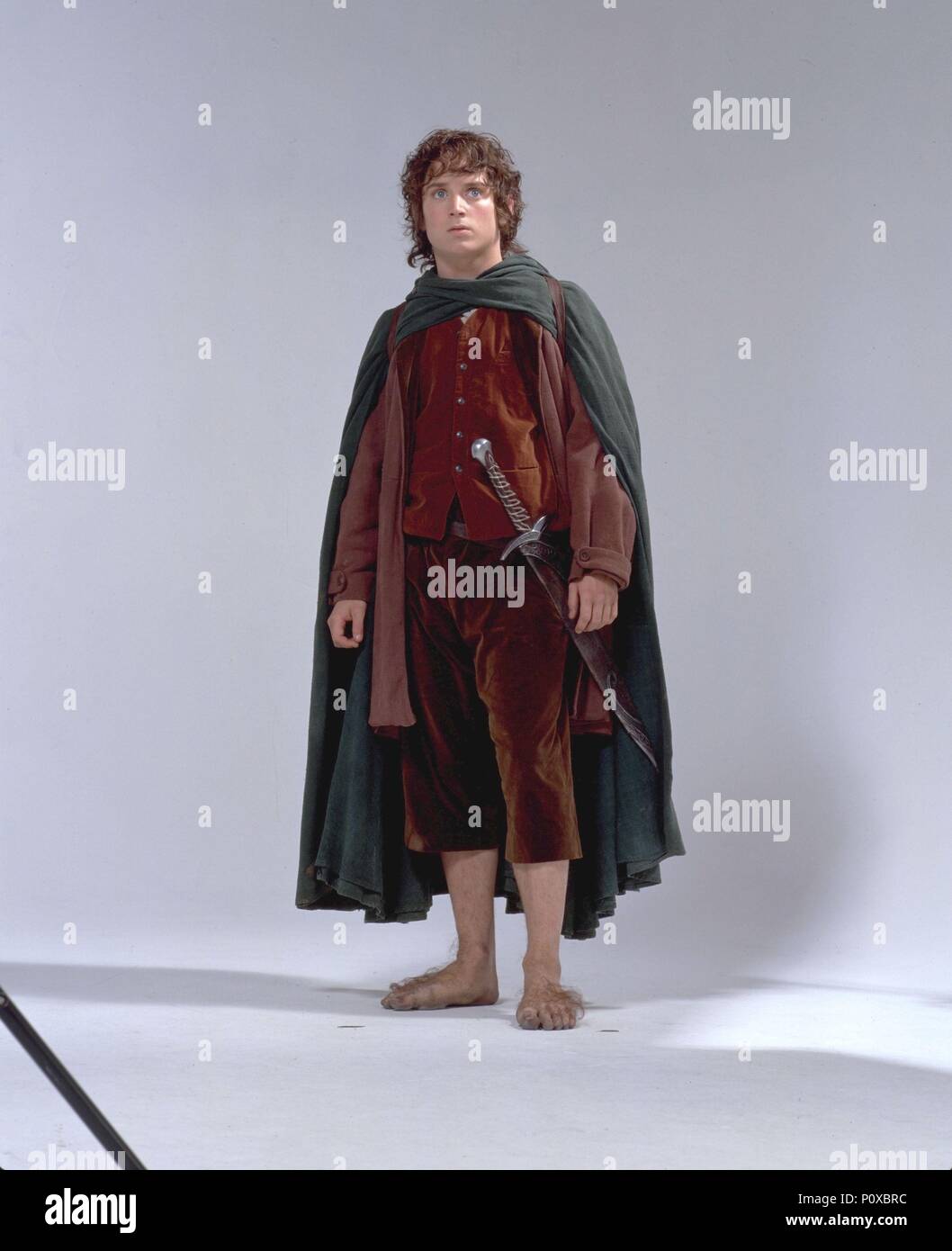 Frodo Baggins Full Body