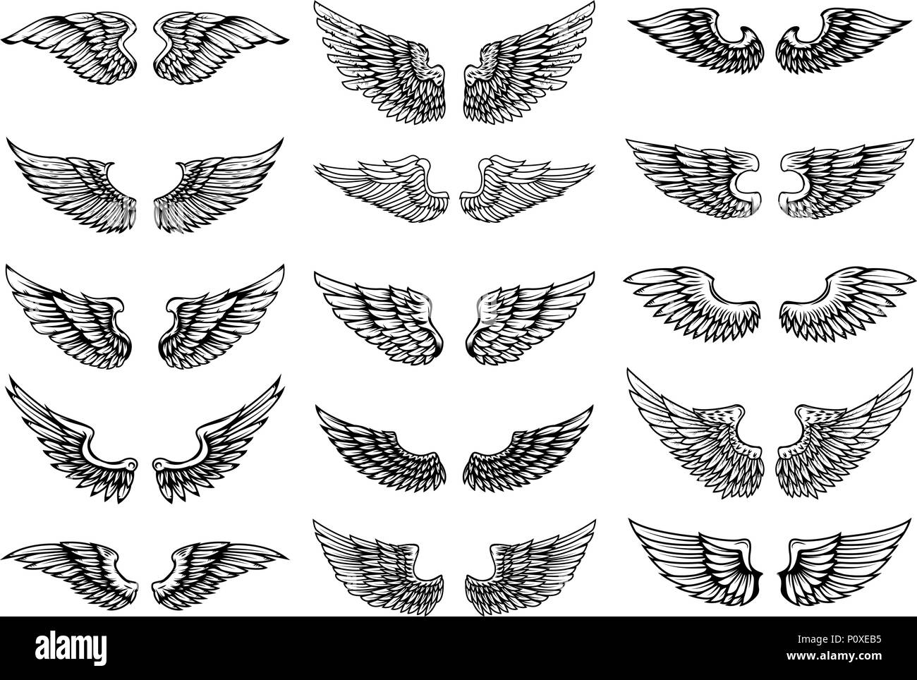 Bird Wings Design