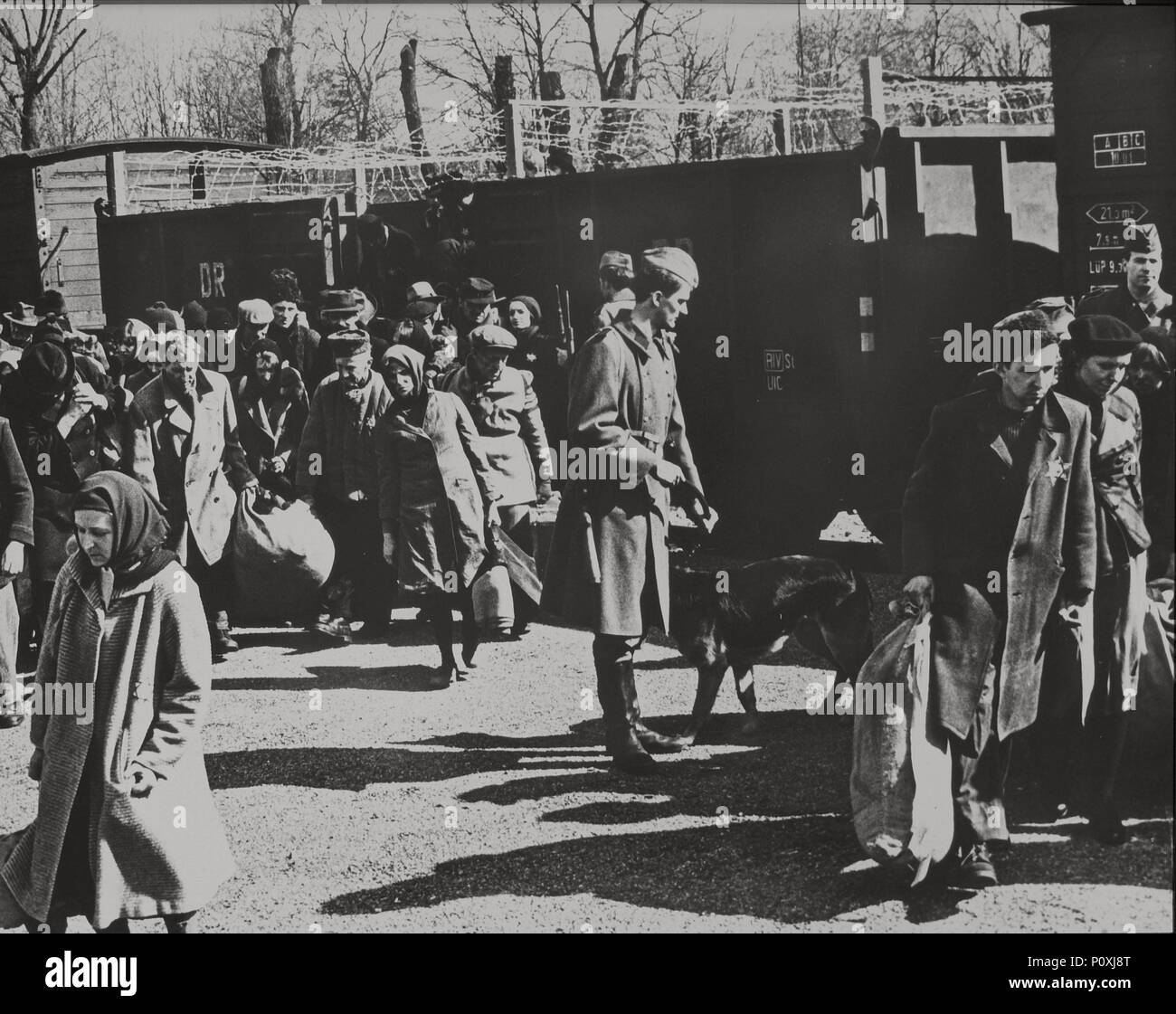 Original Film Title: THE ODESSA FILE. English Title: THE ODESSA FILE ...