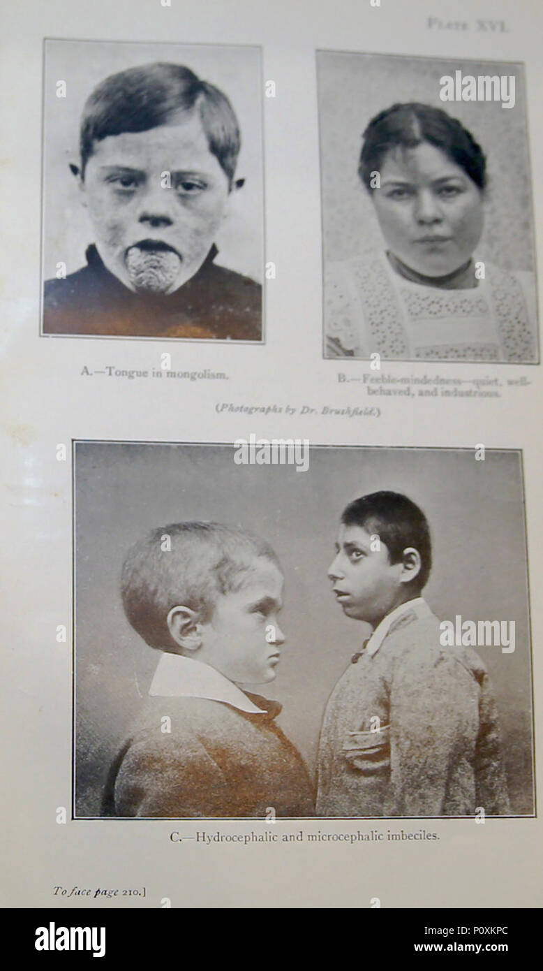 Amentia High Resolution Stock Photography and Images - Alamy