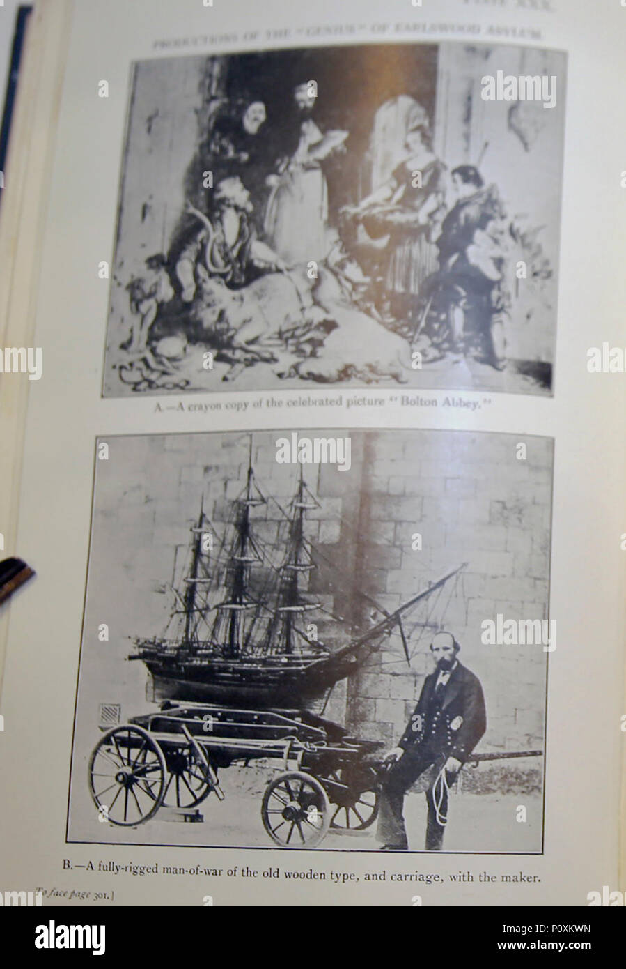 Amentia High Resolution Stock Photography and Images - Alamy