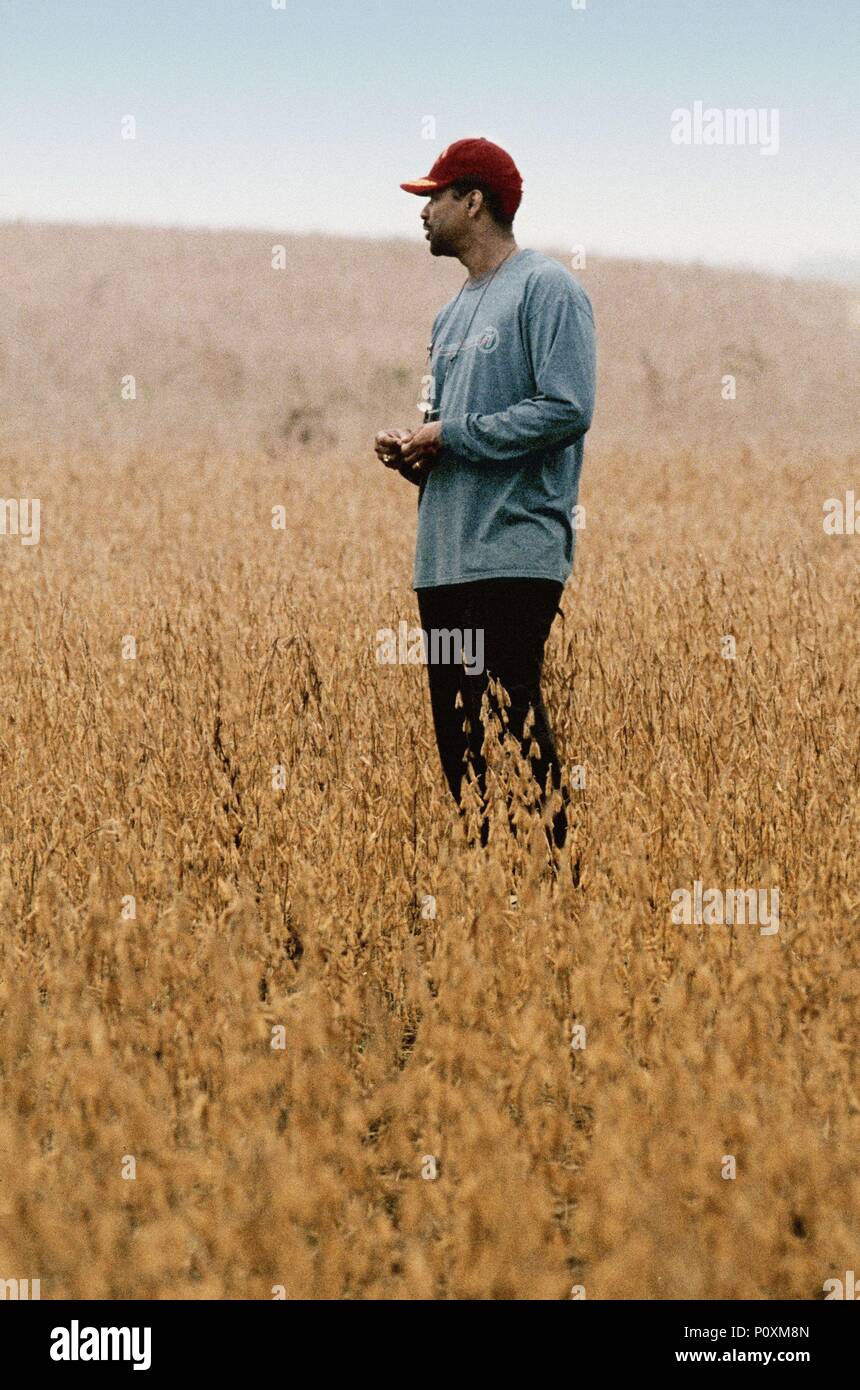 Denzel washington antwone fisher hi-res stock photography and images ...