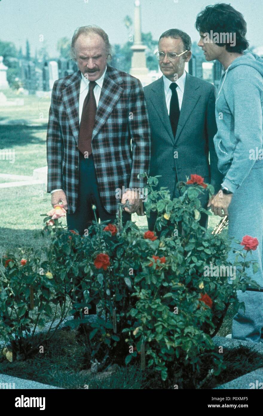 Original Film Title: HEAVEN CAN WAIT. English Title: HEAVEN CAN WAIT ...