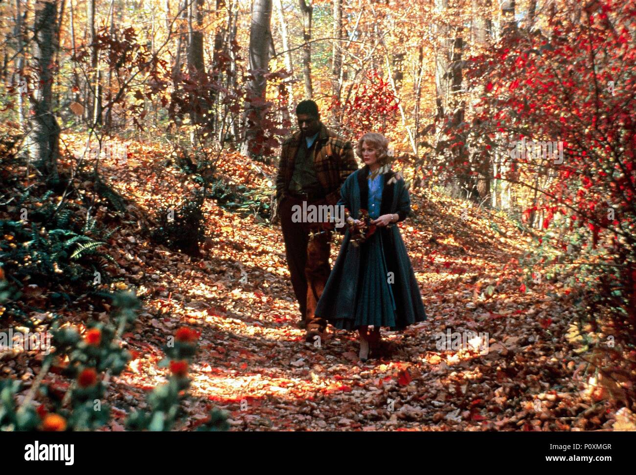 Todd haynes dennis haysbert hi-res stock photography and images - Alamy