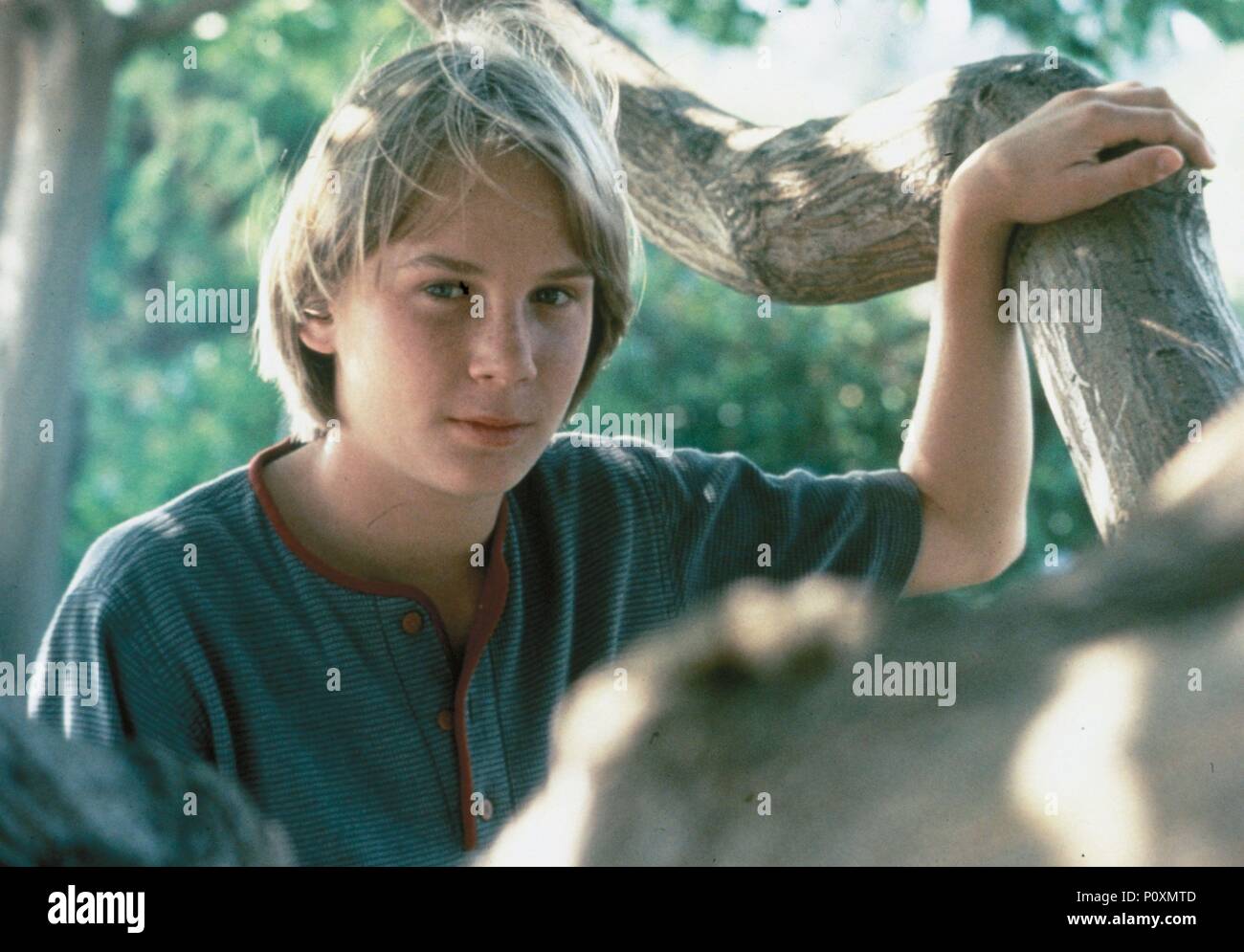 Original Film Title: MY GIRL 2. English Title: MY GIRL 2. Film Director: HOWARD ZIEFF. Year ...