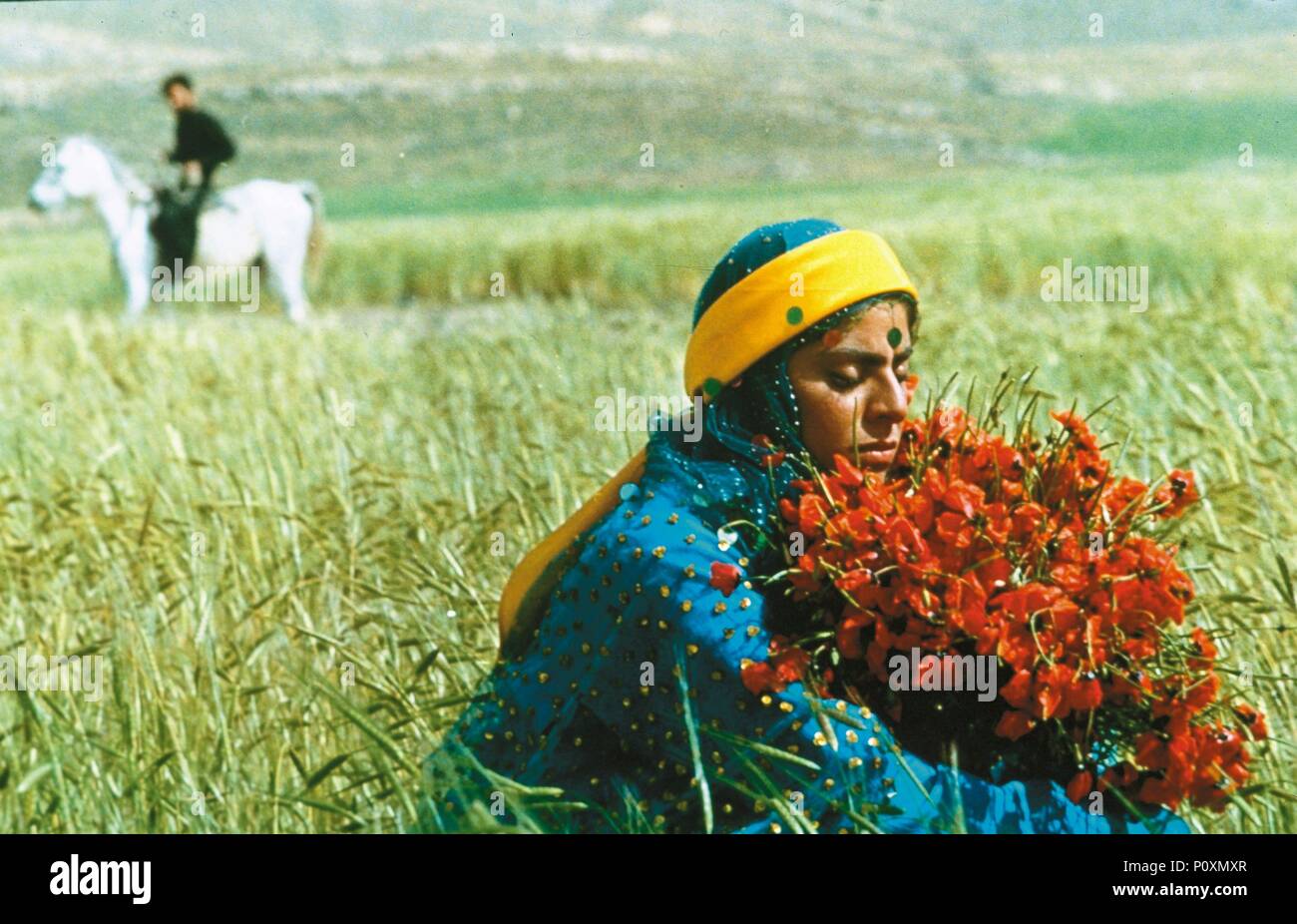 Original Film Title: GABBEH. English Title: GABBEH. Film Director ...