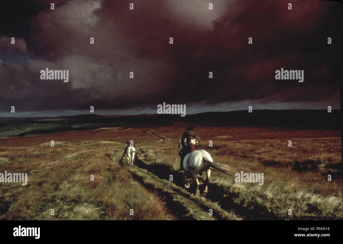 Original Film Title: WUTHERING HEIGHTS. English Title: WUTHERING HEIGHTS. Film Director: PETER ...